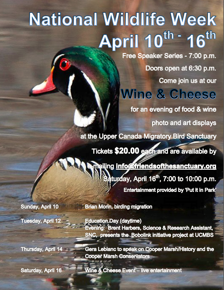 National Wildlife Week: Presentation at Friends of the Sanctuary ...