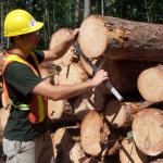 South Nation Conservation Authority